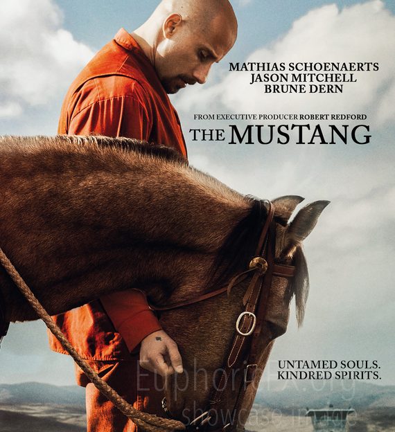 The Mustang Film Eleştirisi ve Yorumlar - OrtaKoltuk